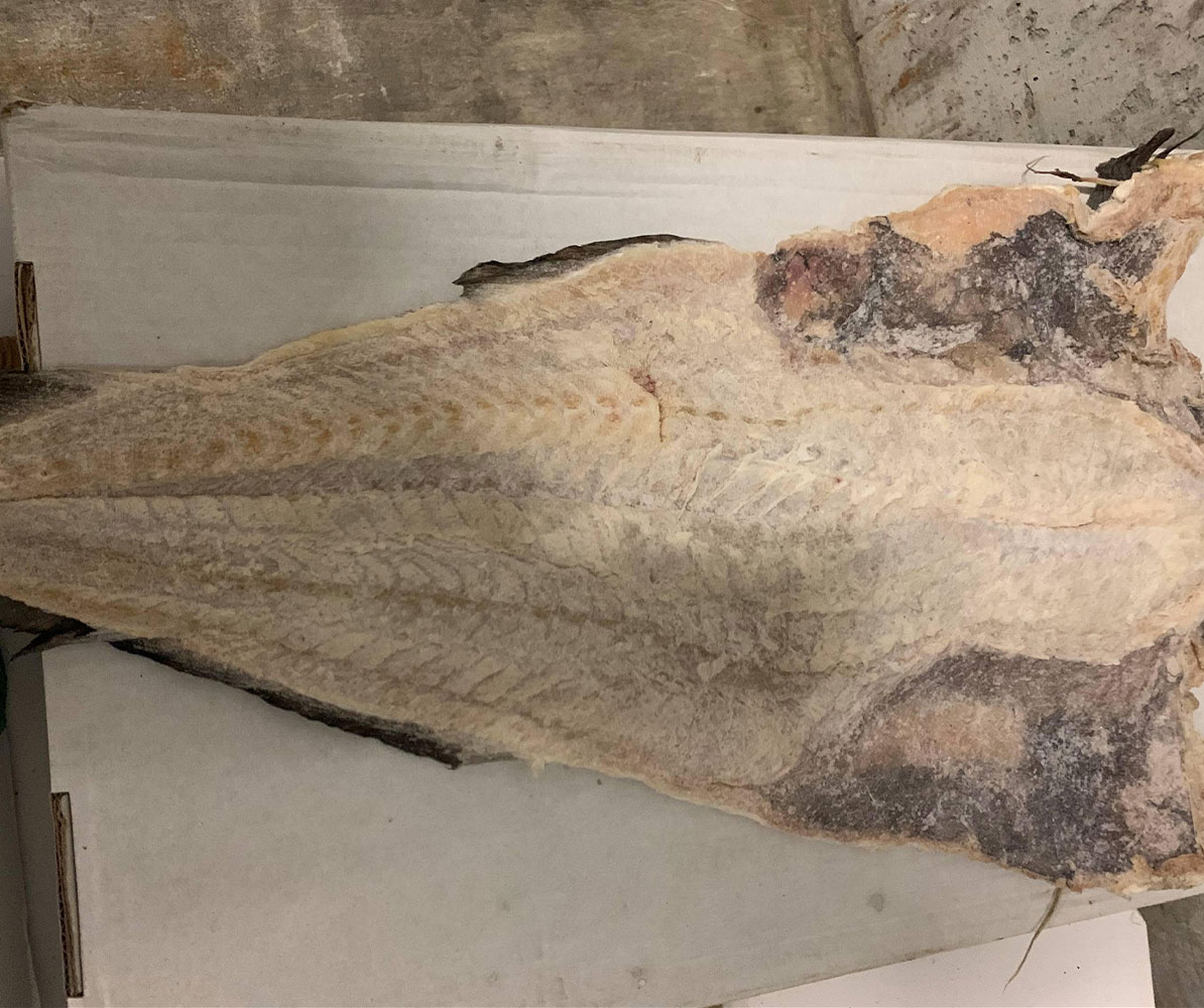Dry and Salted Fish - Fabco